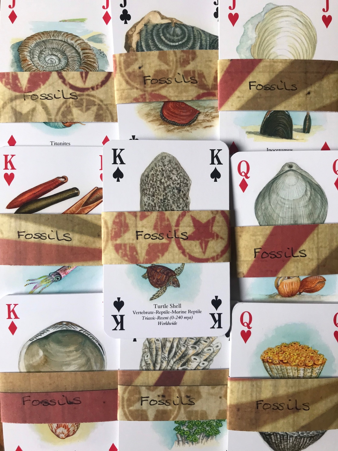 Fossils 5 Playing Cards Art Craft Bunting Decoration Cards Scrapbook ...