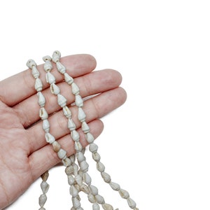 White Nassa Seashell Garland - Small Natural Conch Beach Style Shell ...