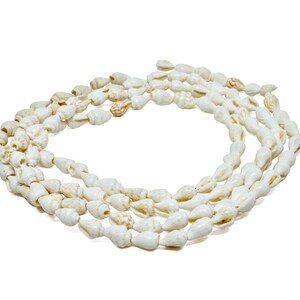 White Nassa Seashell Garland - Small Natural Conch Beach Style Shell ...