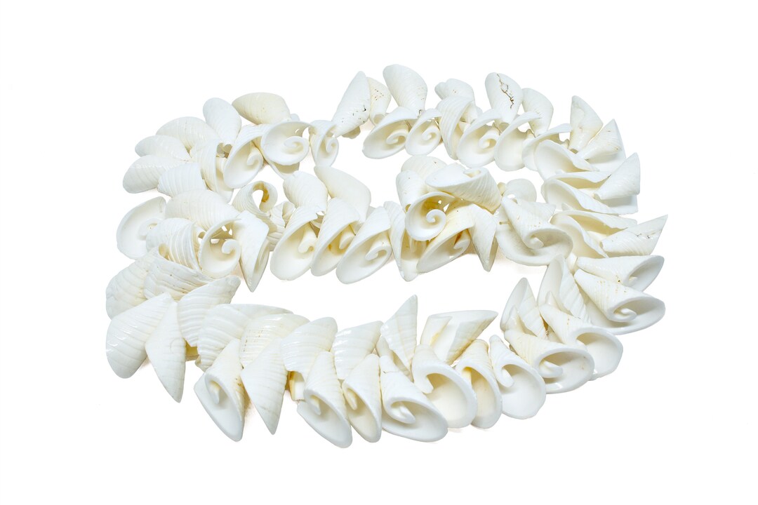 Everlasting Luhuanus Shell Curly Spiral Cone Seashell Nugget Drop Beads ...