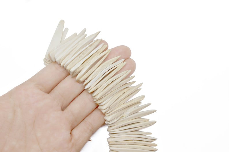 40mm White Coconut Shell Sticks - Bleached - 15 Inch Strand - Etsy