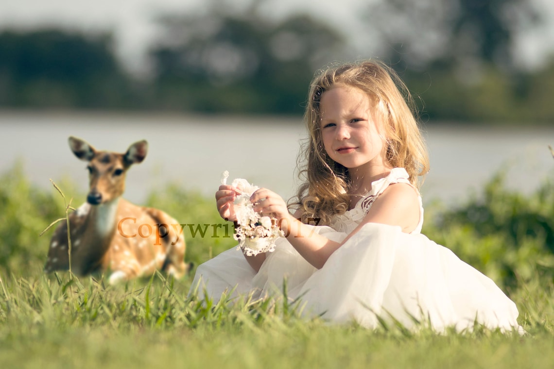 Deer Baby Doe Overlay Transparent Background PNG (Instant Download) - Etsy