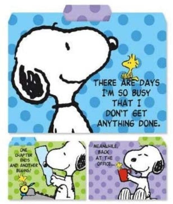 Snoopy & Woodstock File Folders 1/3 Cut Top Tab Letter - Etsy