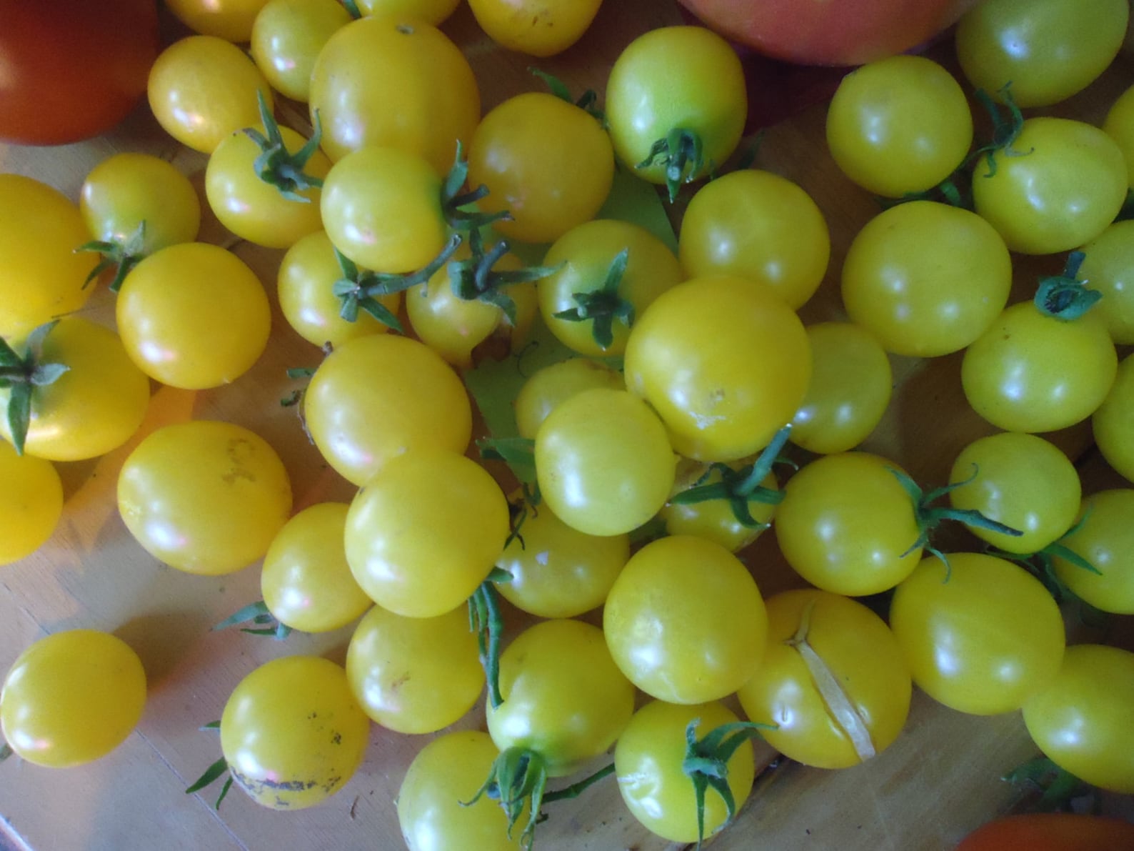 Heirloom Cherry Tomato Lovers Variety Pack | Etsy