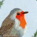 Ruby The Robin Pdf Pattern Etsy