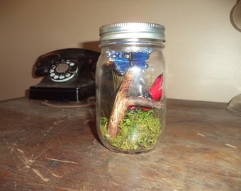 Bug in a jar | Etsy