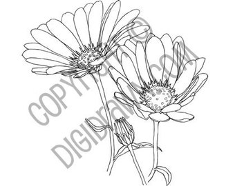 Daisy Digi - Etsy UK