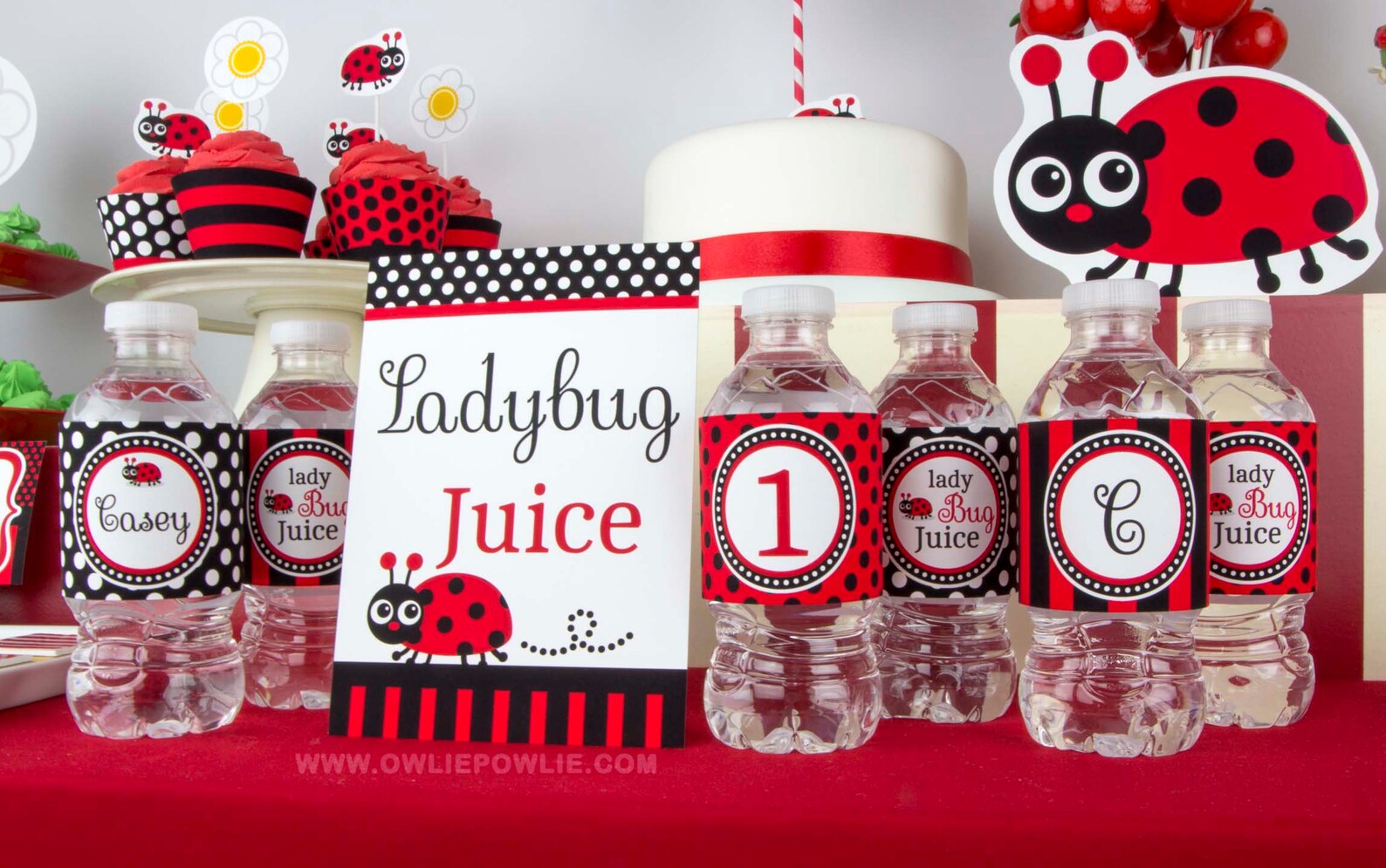 Lady Bug First Birthday, EDITABLE Party Printable Package & Invitation ...