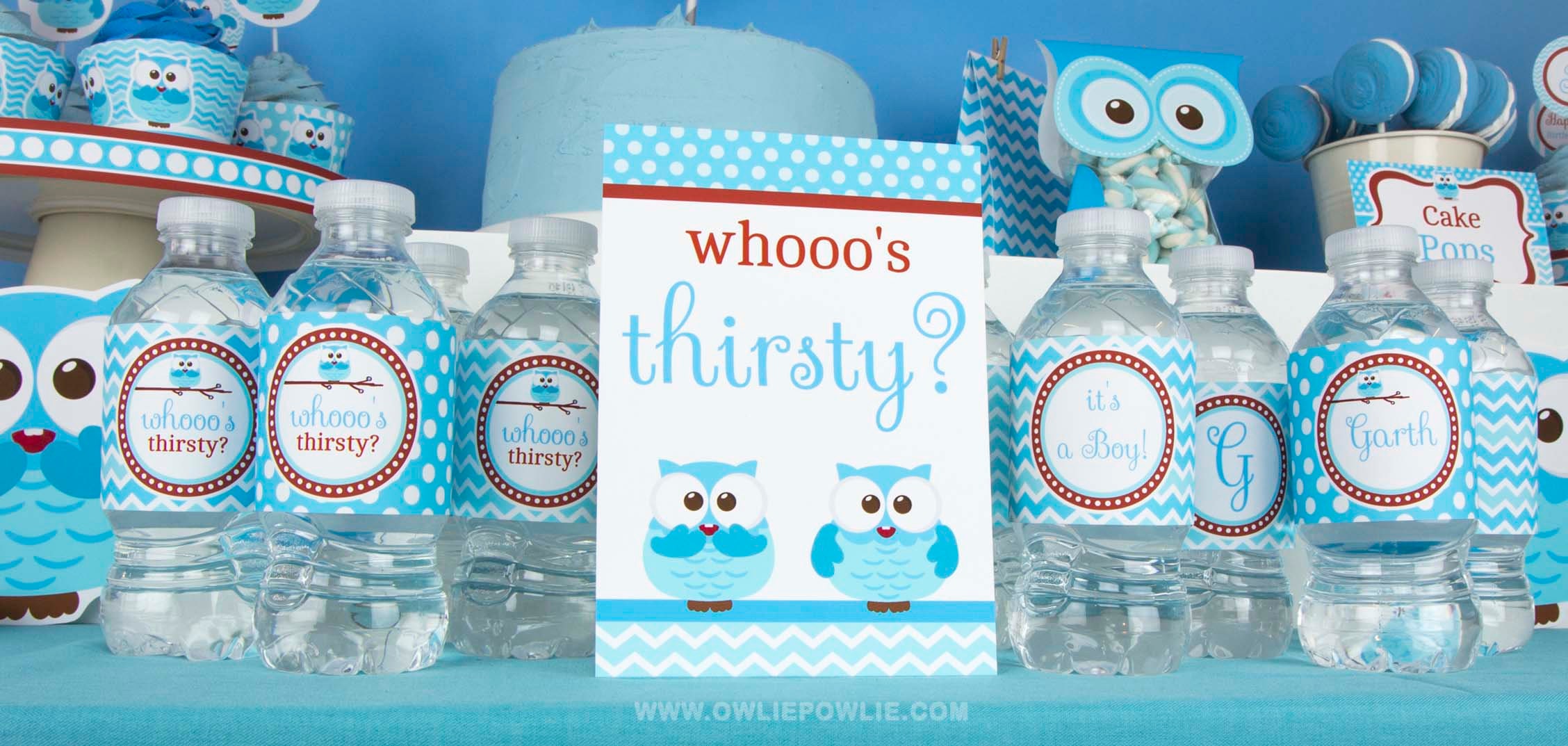 Blue Owl BABY Shower Party Printable Package & Invitation | Etsy