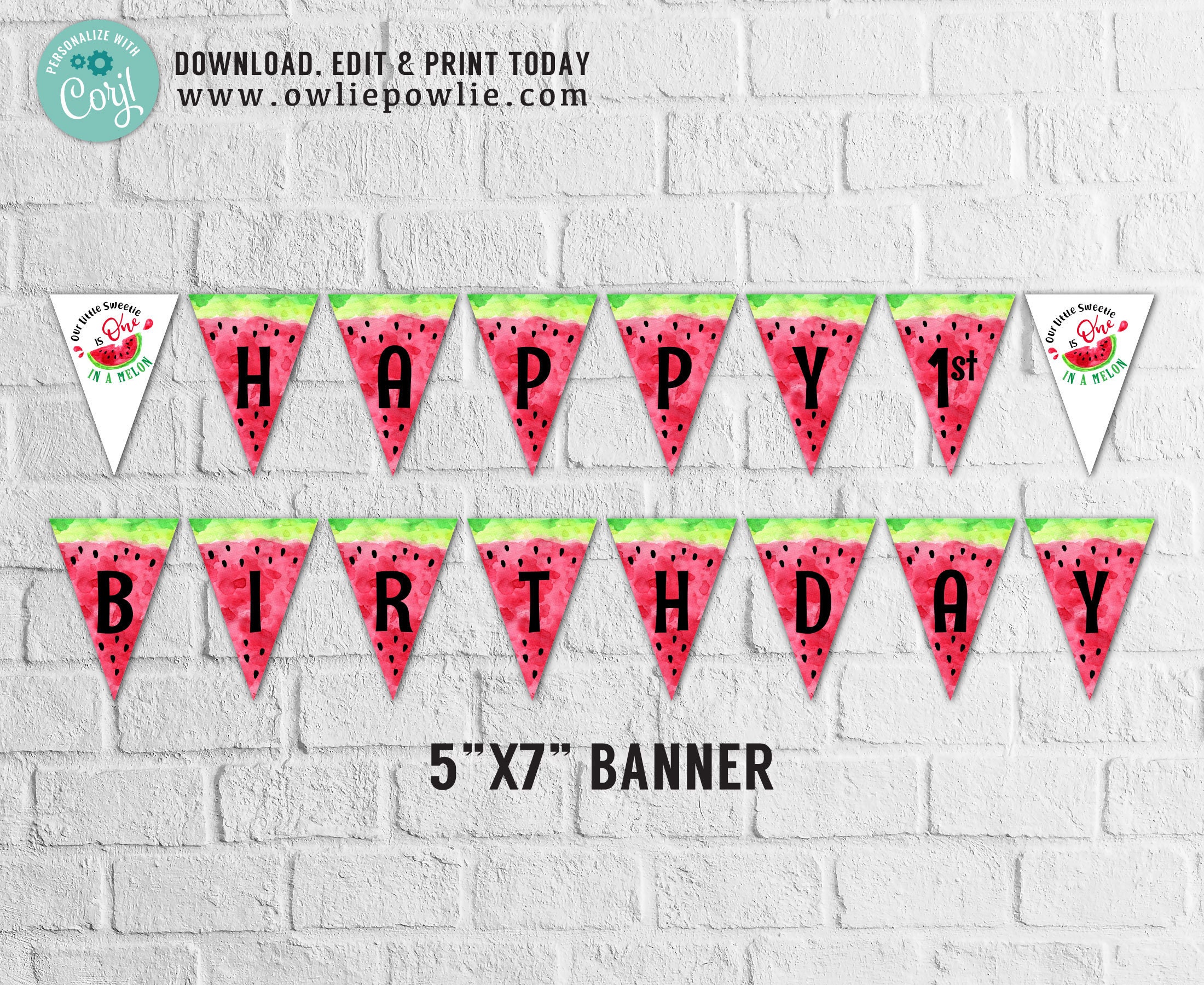 One in a melon first birthday party decorations EDITABLE | Etsy