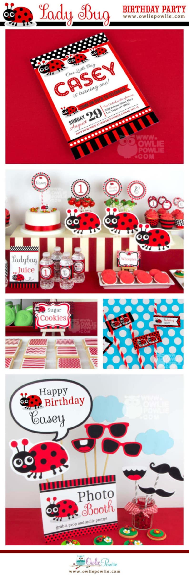 Lady Bug First Birthday, EDITABLE Party Printable Package & Invitation ...