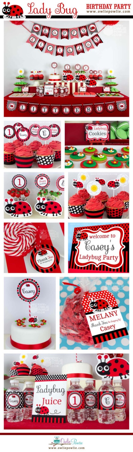 Lady Bug First Birthday, EDITABLE Party Printable Package & Invitation ...