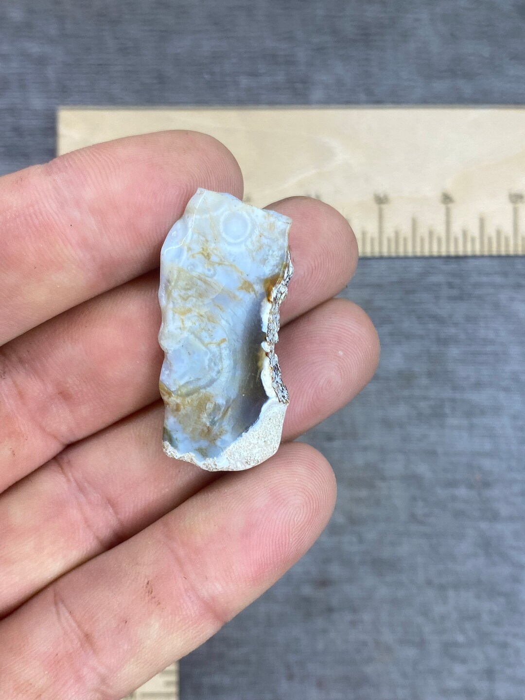 High Polish/ High Gloss Ocean Jasper With Crazy Beautiful Patterns! - Etsy