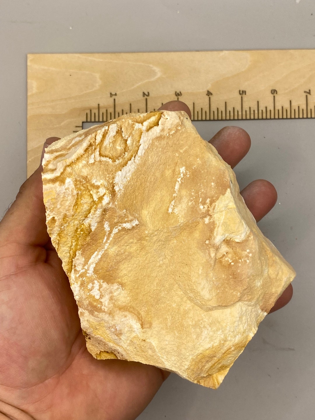 Sandstone Specimen! Hard to Find Rough Specimens! Compare! Great Price ...