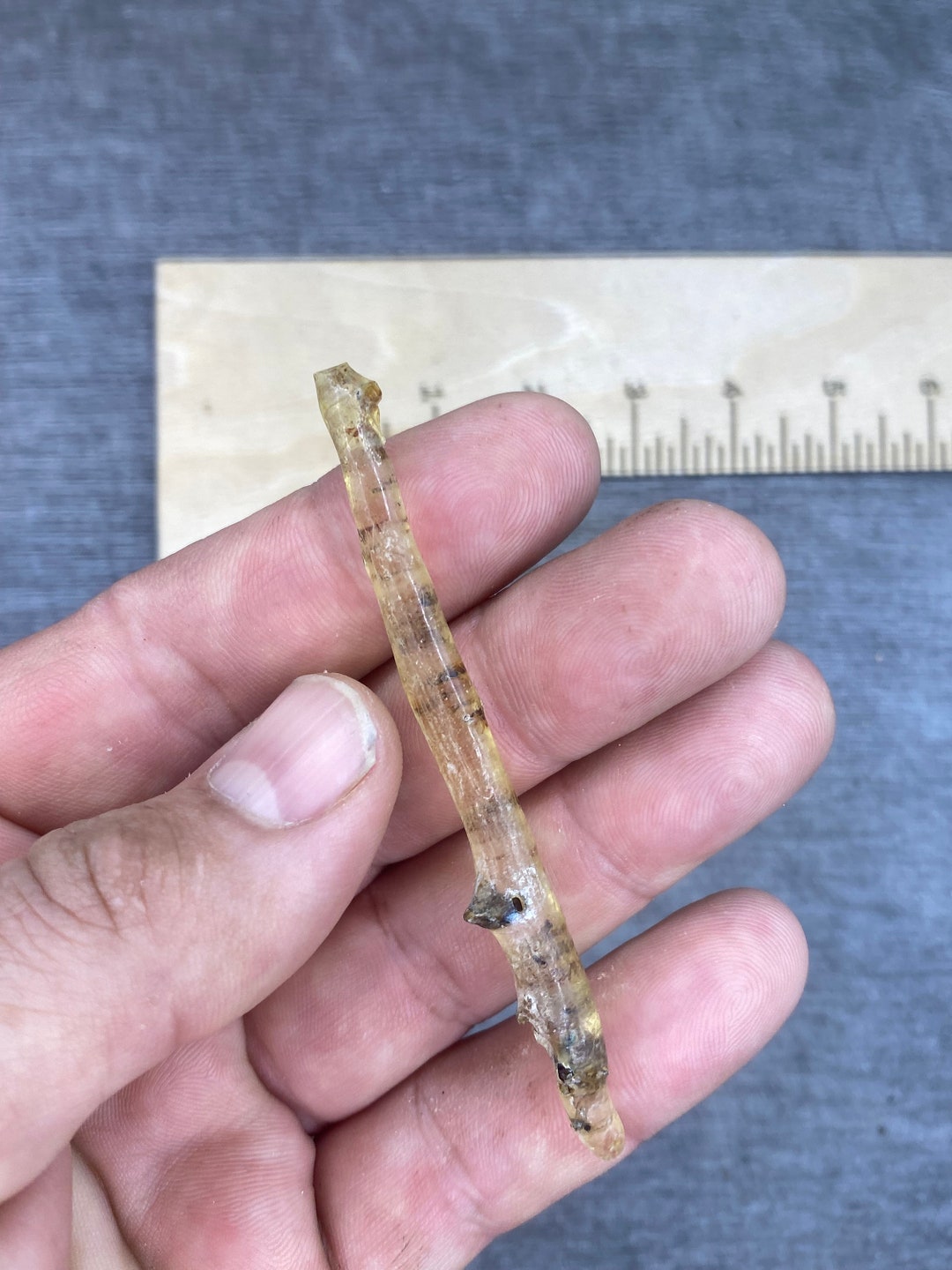 High-grade SUPER CLEAR Pleistocene Copal Amber With Tiny Insects Within ...