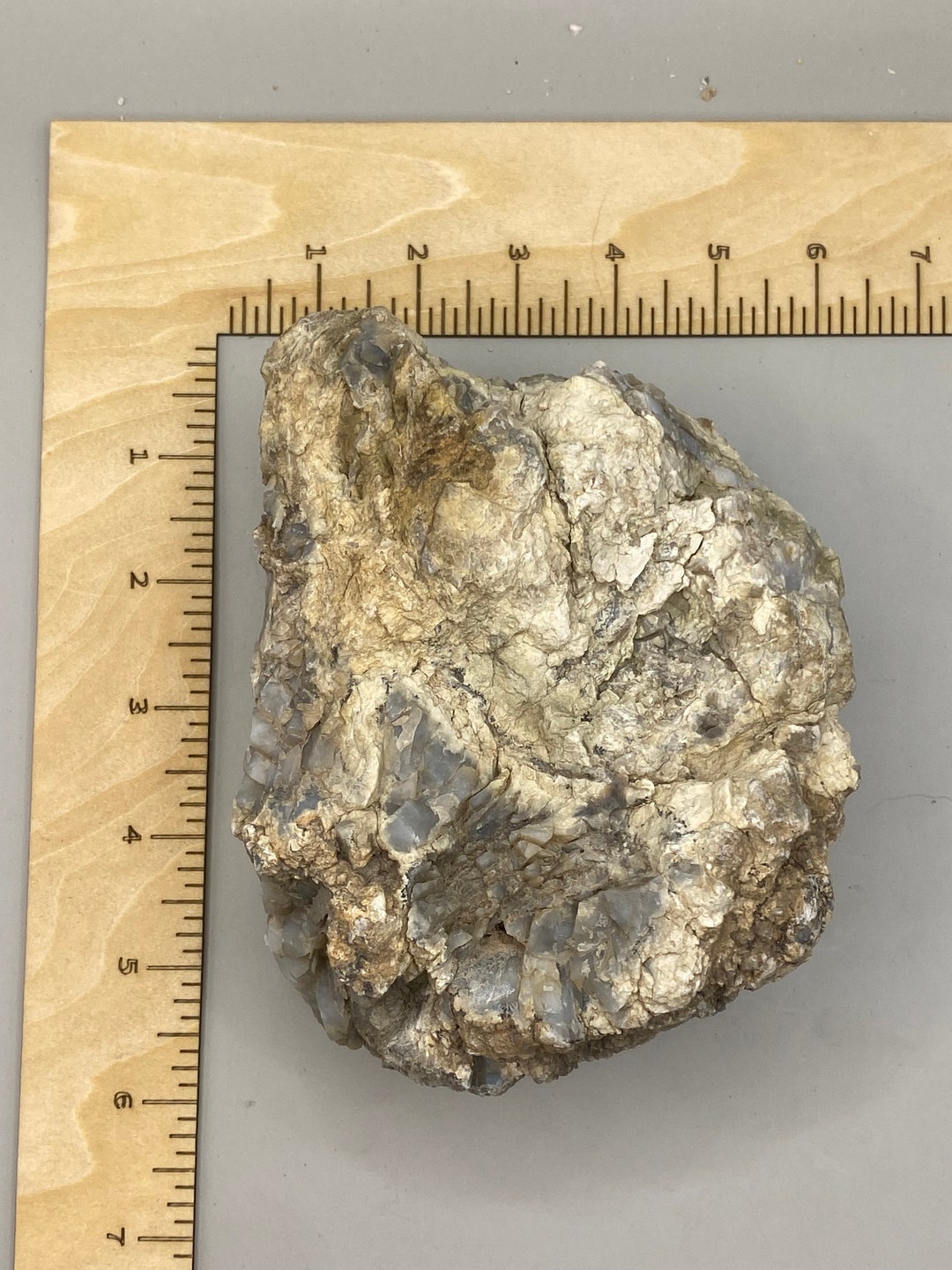 LARGE Coprolite Fossil Dinosaur POOP Agate Ancient Huge & Heavy - Etsy