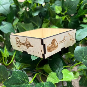 Engraved Wooden Ruler Box - Etsy