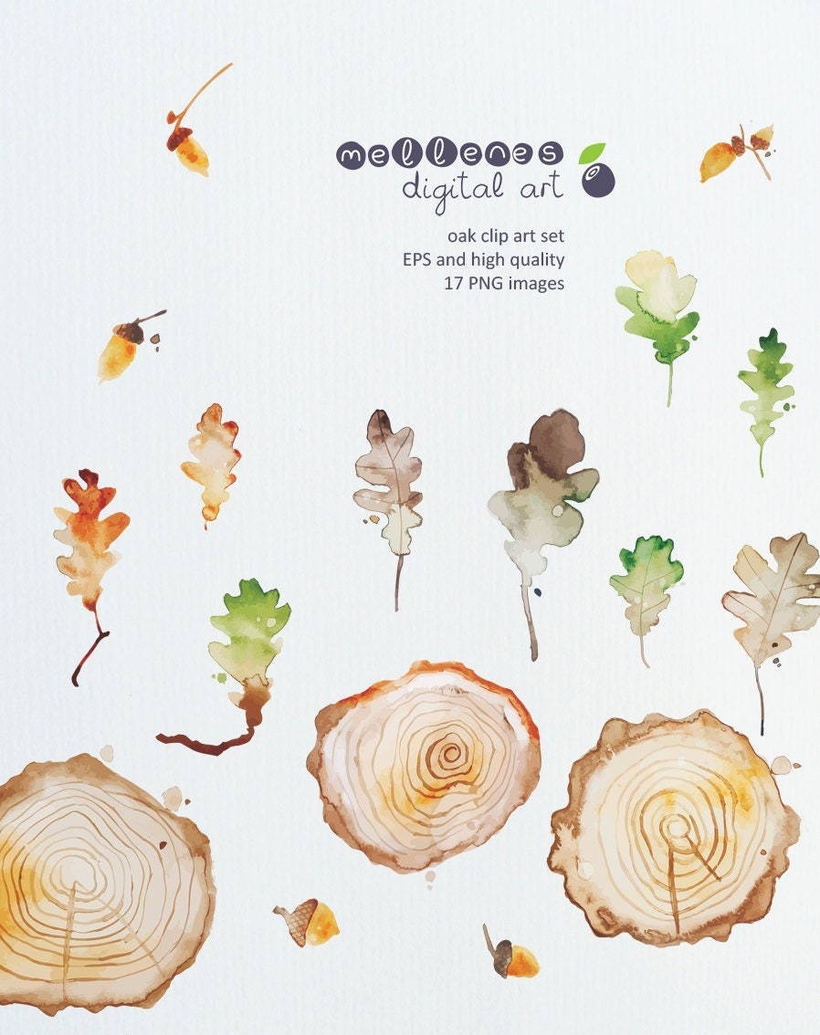 Set of 17 Vector EPS and High Quality PNG Clip Art / Clipart /scrapbook ...