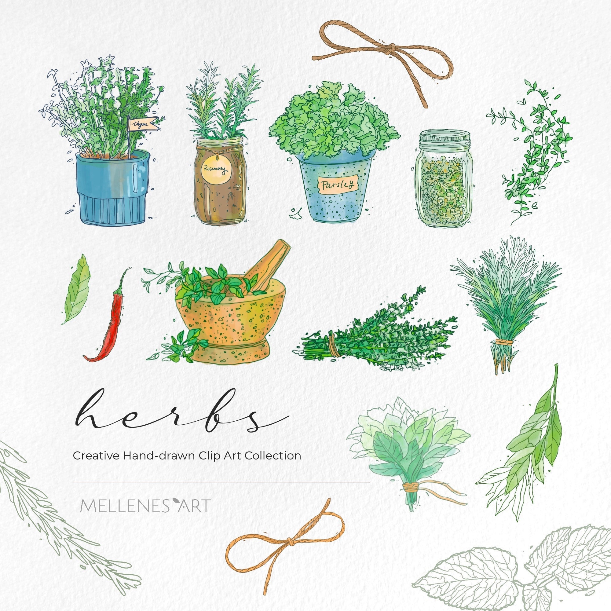 Herbs Clip Art Set. Hand Drawn Doodle Greenery Clipart Bundle, Plants ...