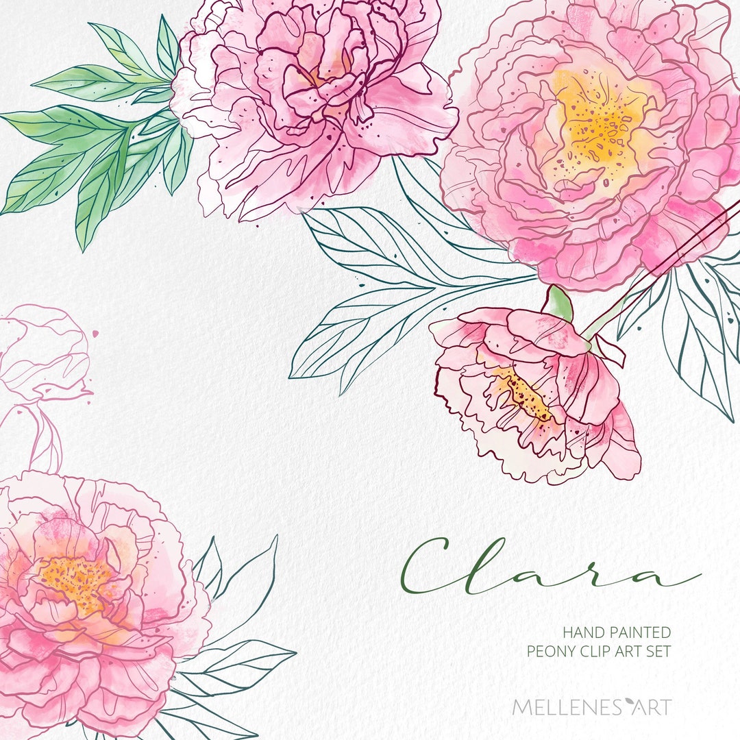 Paquete de ilustración de imágenes prediseñadas de flores modernas ...