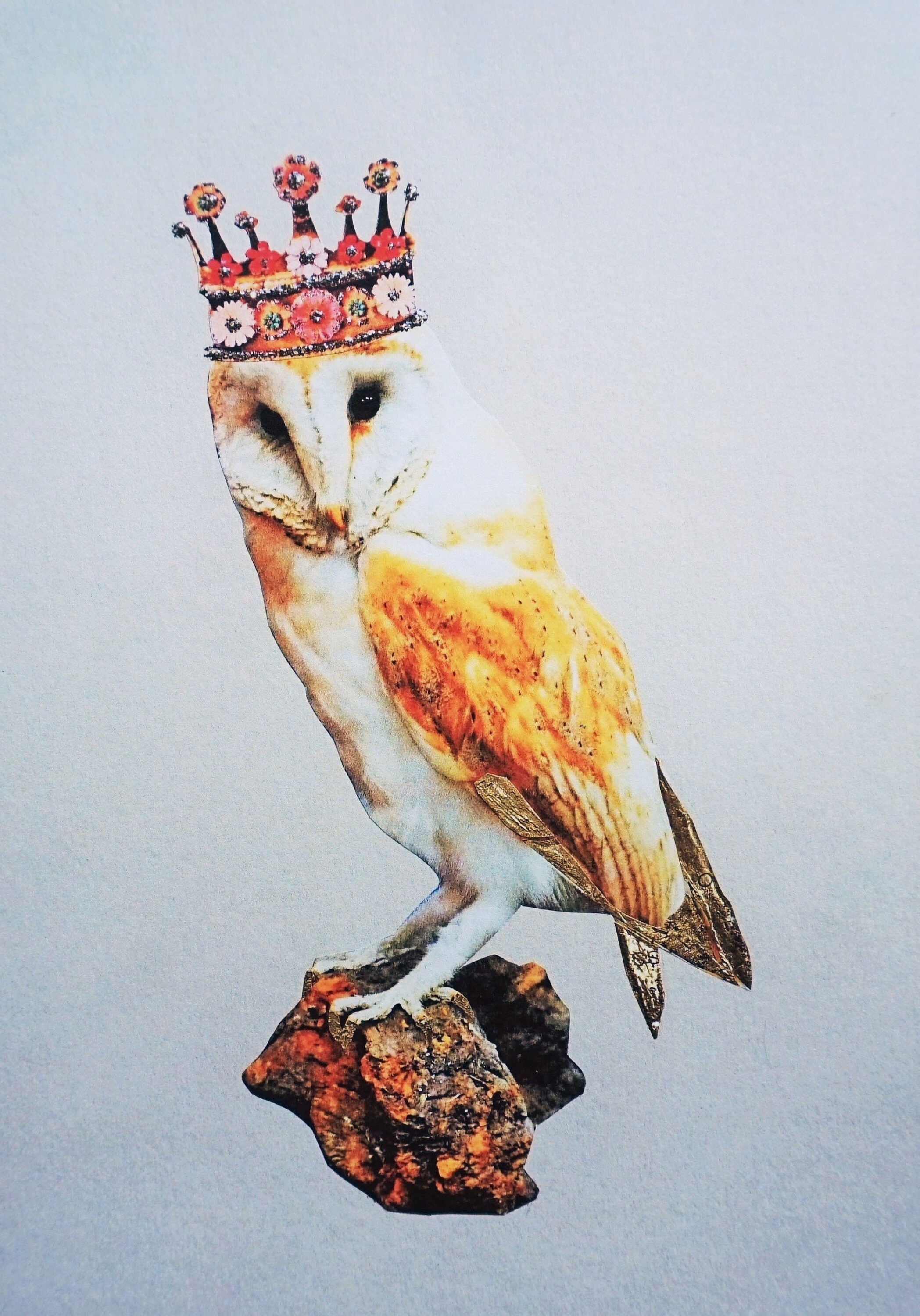 Animal Portrait Barn Owl With Crown A4 Unframed Print - Etsy