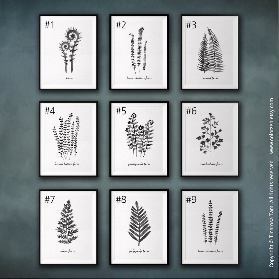 Fern Botanical Print Set of 3 Prints Fern Watercolor Print | Etsy