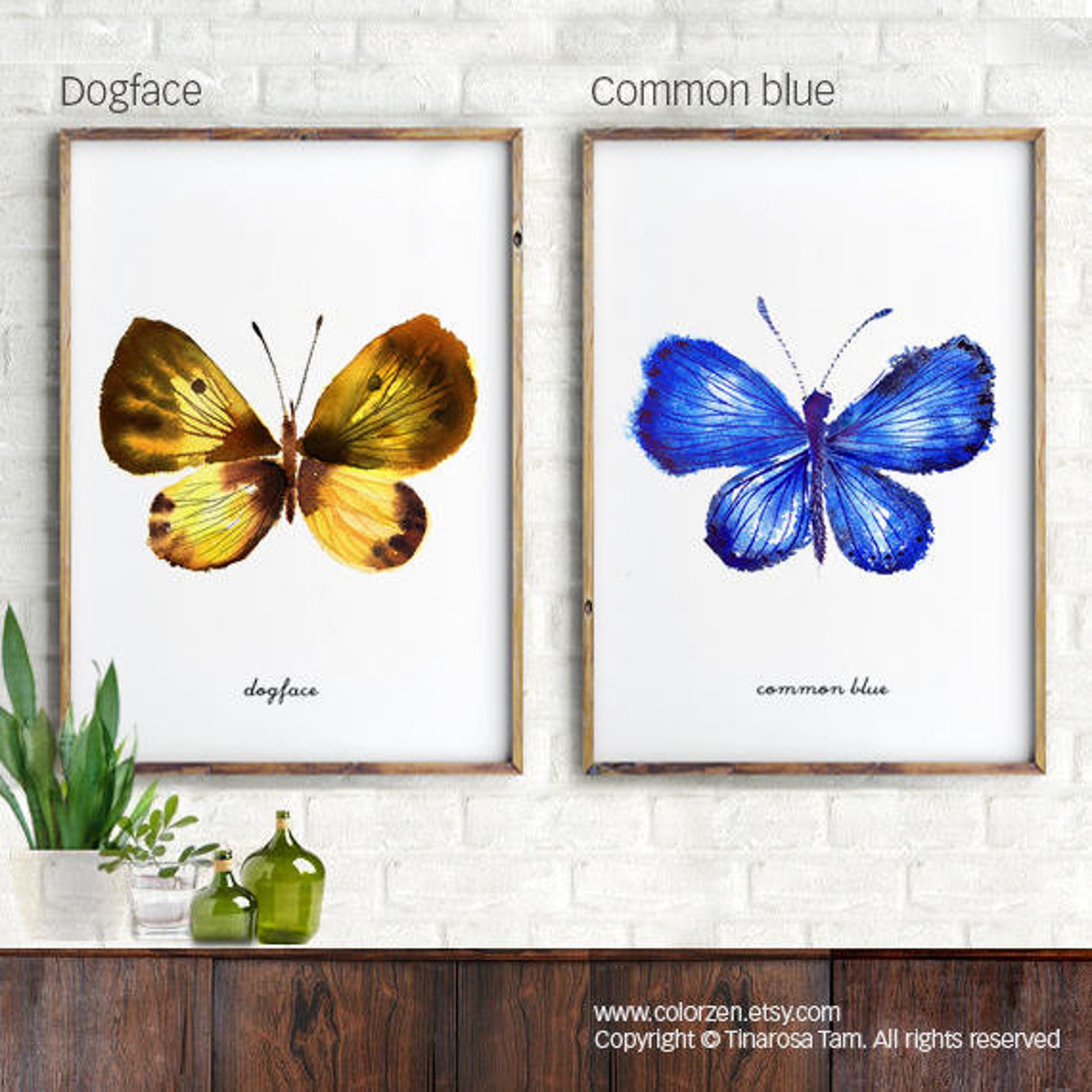 Insect Art Print Set of 4 Insect Watercolor Painting Bug | Etsy