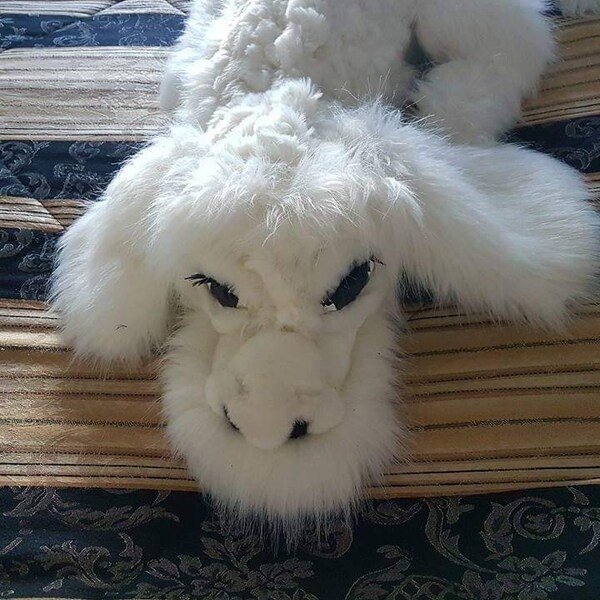 Falkor - Etsy