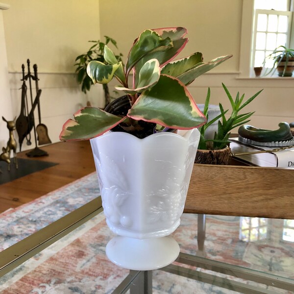 Grapevine Planter - Etsy