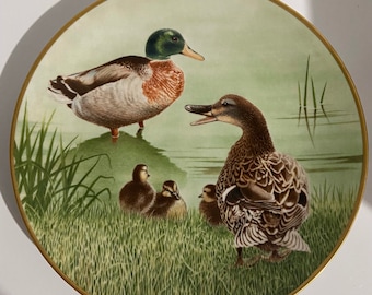 12 Waterbird Plates by Eric Tenney- Bavarian Porcelain West Germany ...