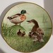 12 Waterbird Plates by Eric Tenney- Bavarian Porcelain West Germany ...