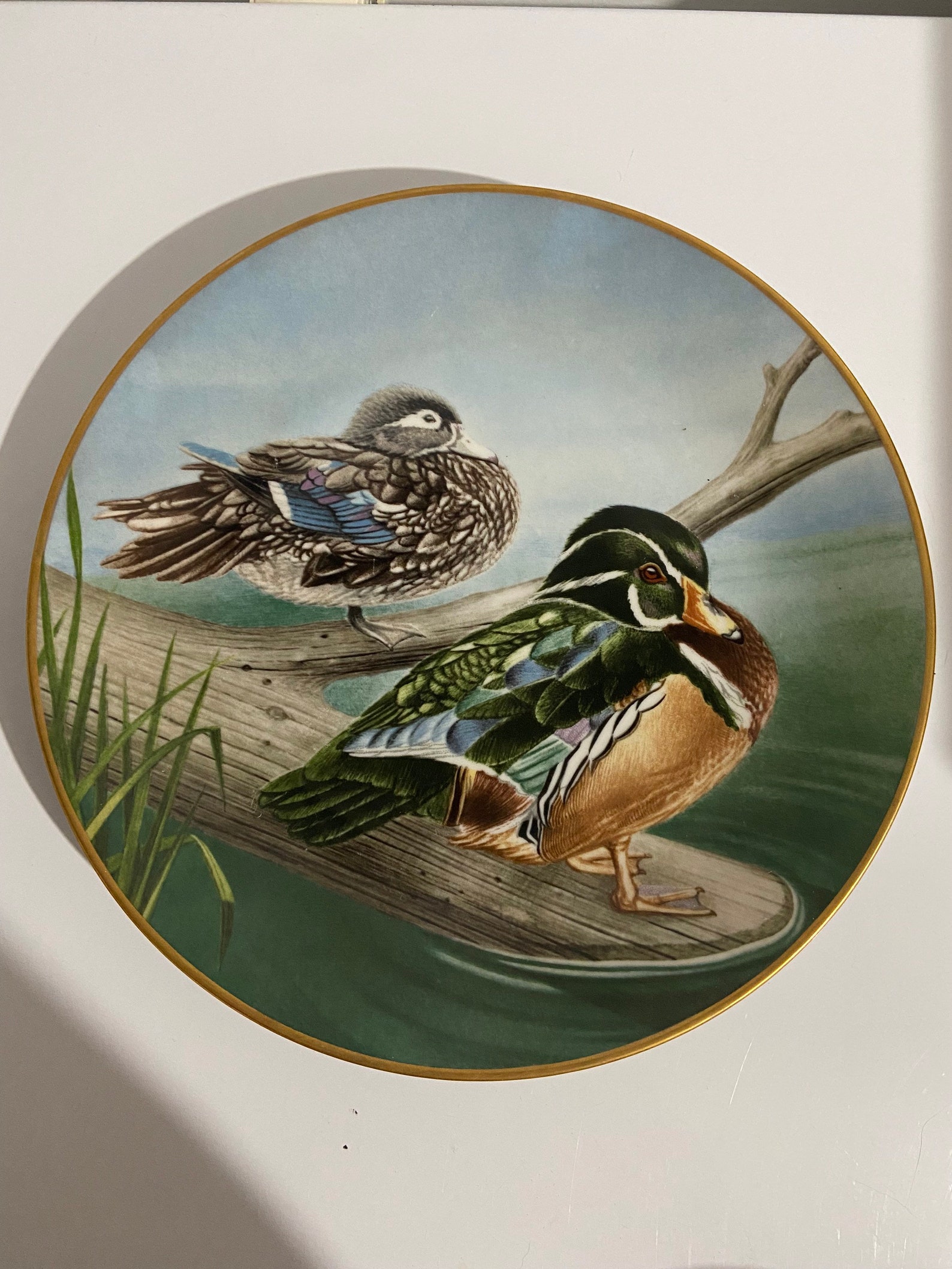 12 Waterbird Plates by Eric Tenney Bavarian Porcelain West Germany ...