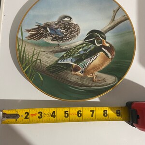 12 Waterbird Plates by Eric Tenney Bavarian Porcelain West Germany ...