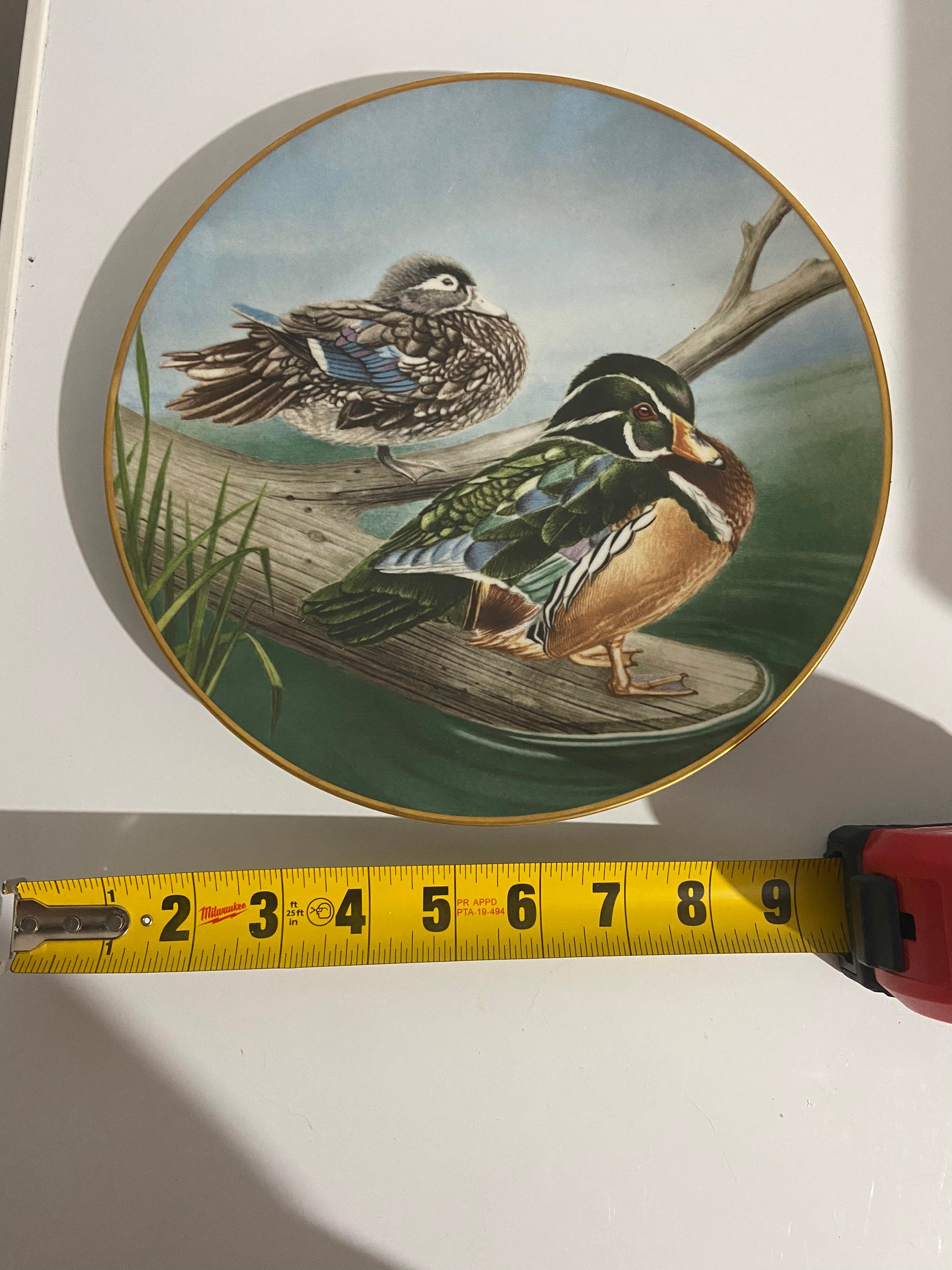 12 Waterbird Plates by Eric Tenney Bavarian Porcelain West Germany ...