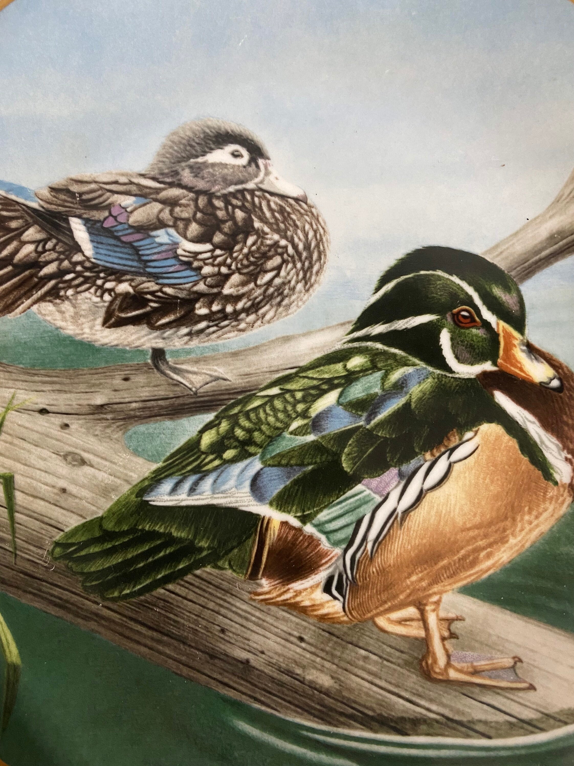 12 Waterbird Plates by Eric Tenney Bavarian Porcelain West Germany ...