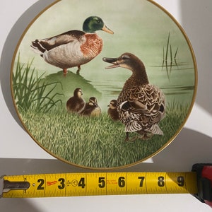 12 Waterbird Plates by Eric Tenney- Bavarian Porcelain West Germany ...