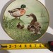 12 Waterbird Plates by Eric Tenney- Bavarian Porcelain West Germany ...