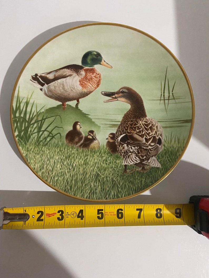 12 Waterbird Plates by Eric Tenney- Bavarian Porcelain West Germany ...