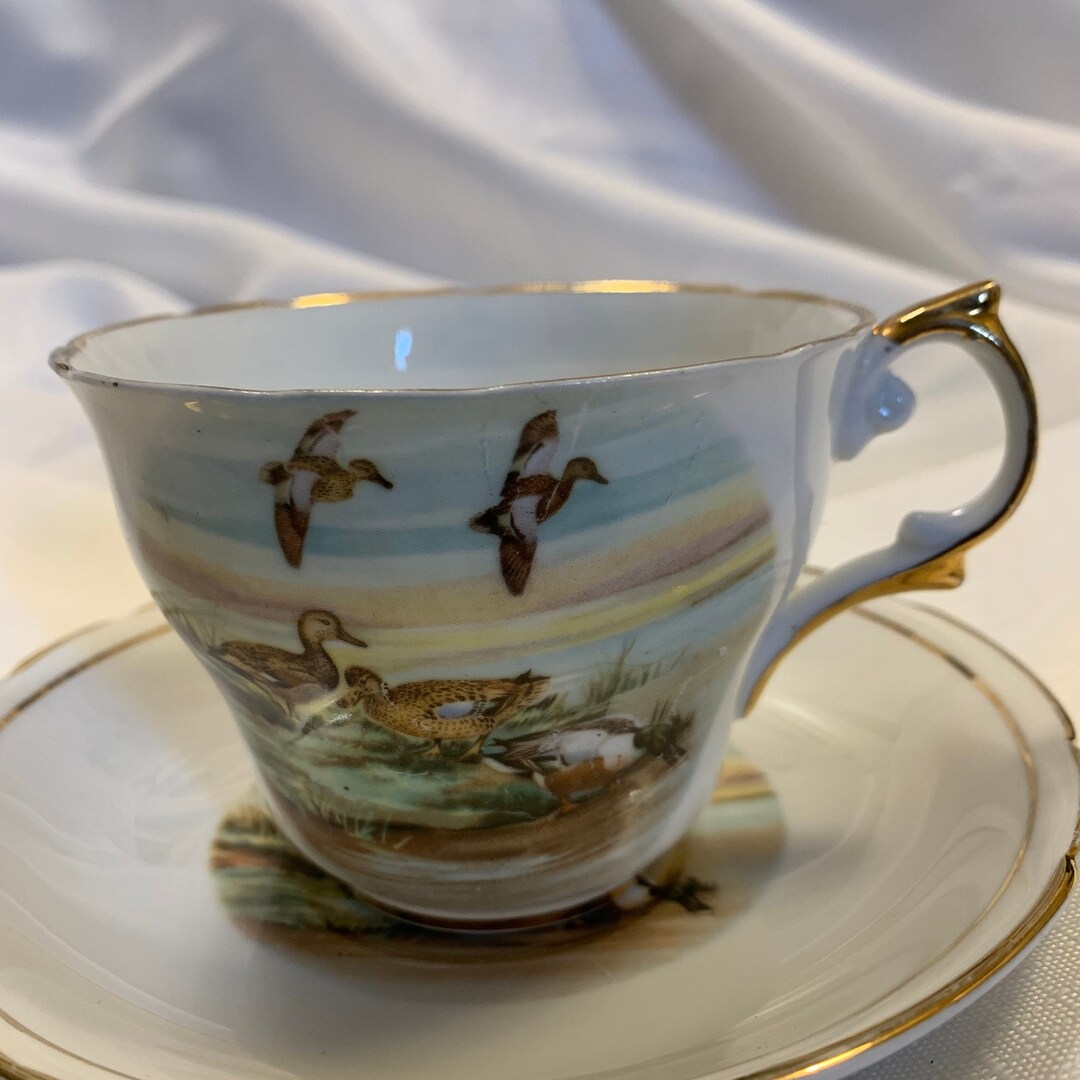 Regency Bone China Cup and Saucer With Image of Ducks - Etsy