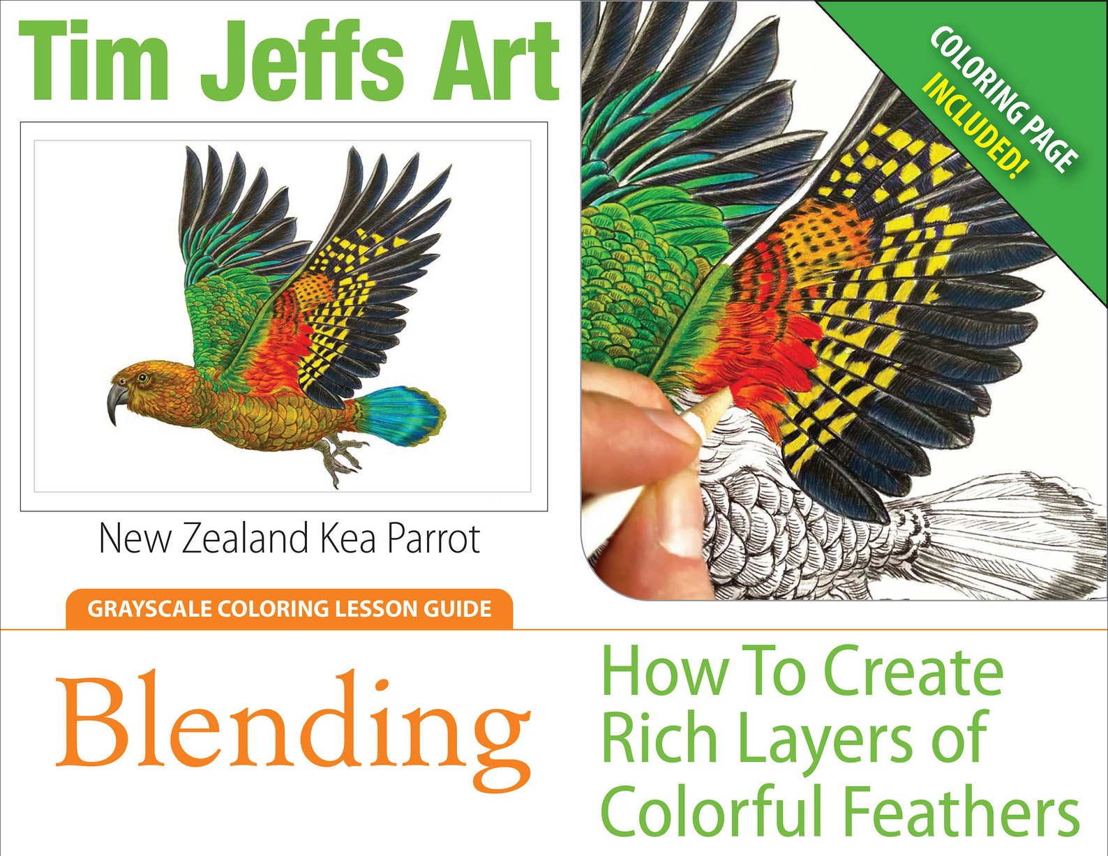 GRAYSCALE COLORING LESSON - Kea Parrot - Blending: How to Create Rich ...