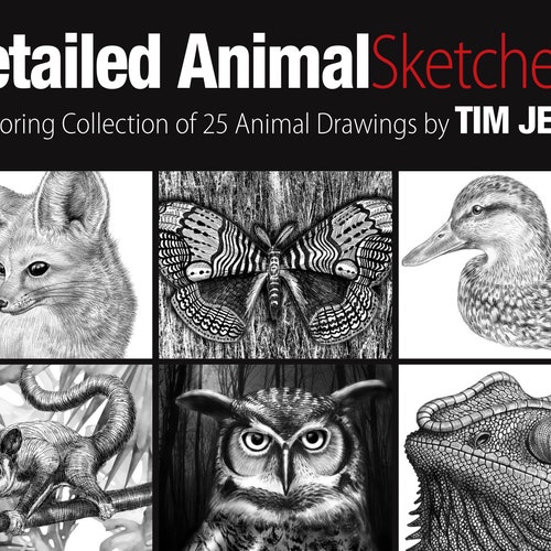 Detailed Animal Sketches 3. A Coloring Collection by Tim Jeffs - Etsy