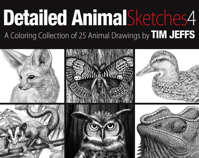 TimJeffsArt - Etsy Canada