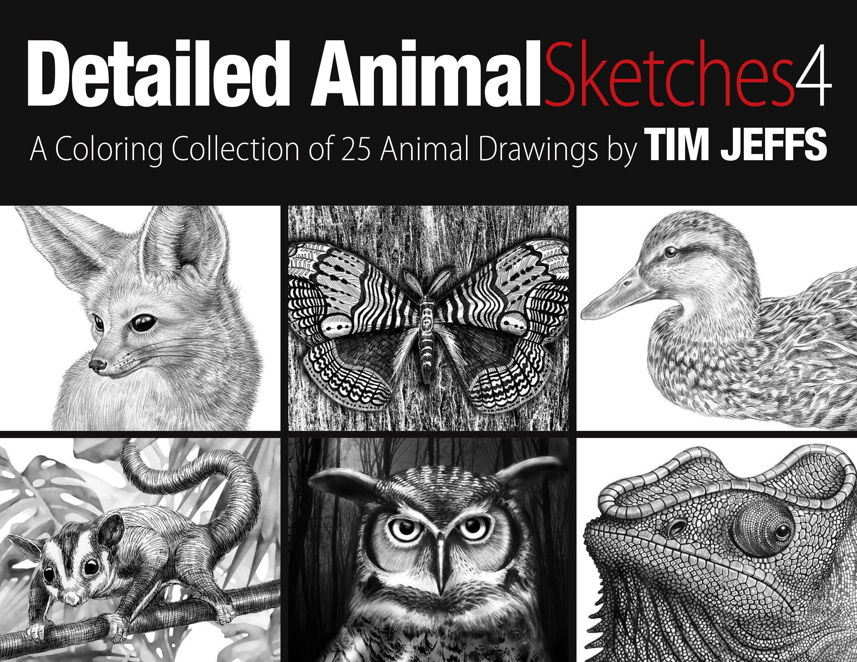 Detailed Drawings Of Animals