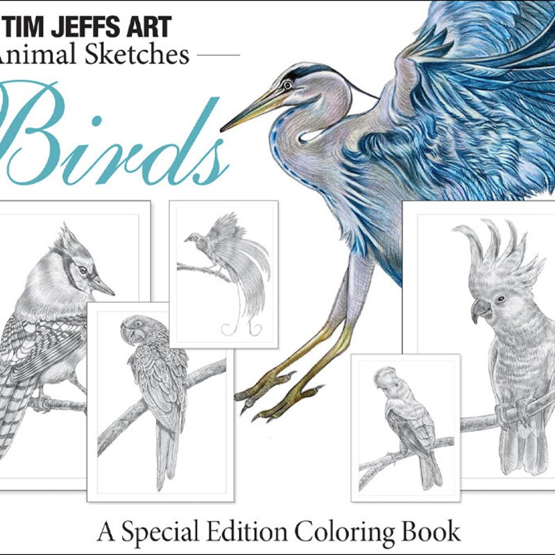 TimJeffsArt - Etsy