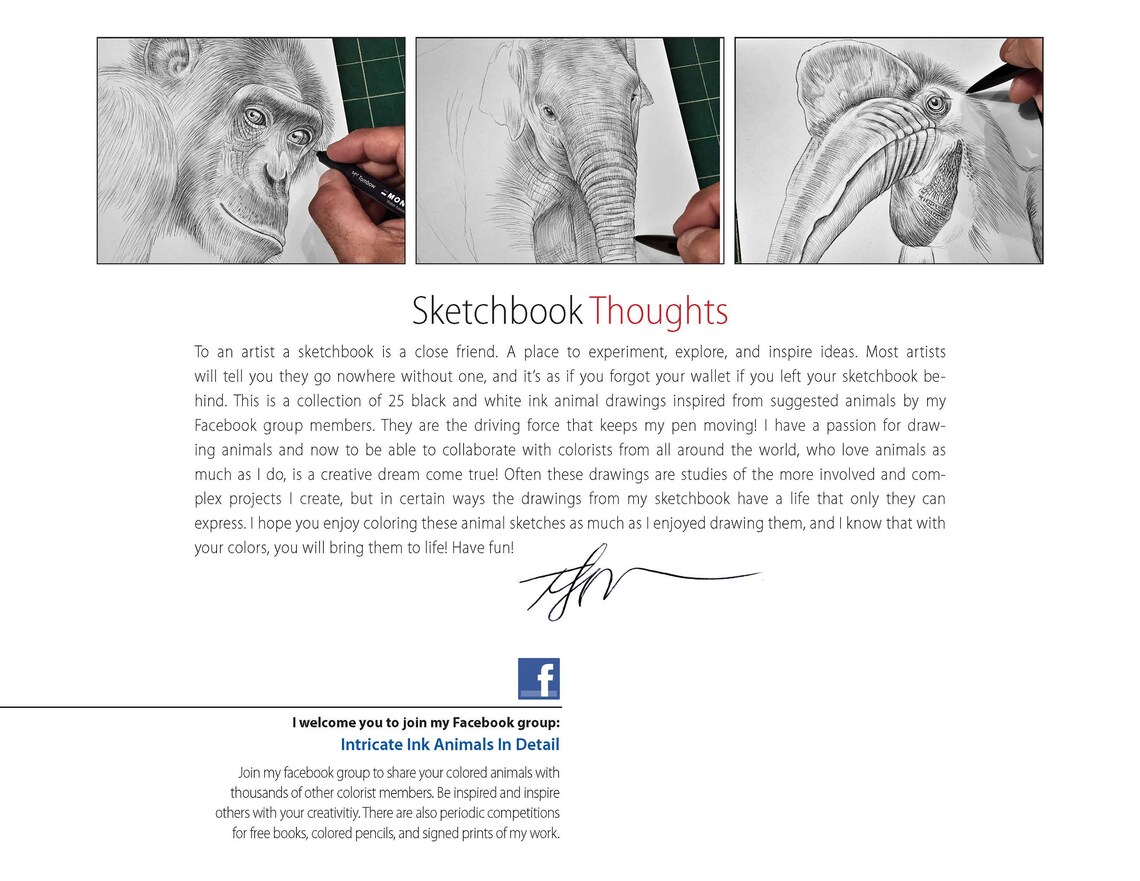 Detailed Animal Sketches 3. A Coloring Collection by Tim Jeffs | Etsy