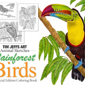 TimJeffsArt - Etsy
