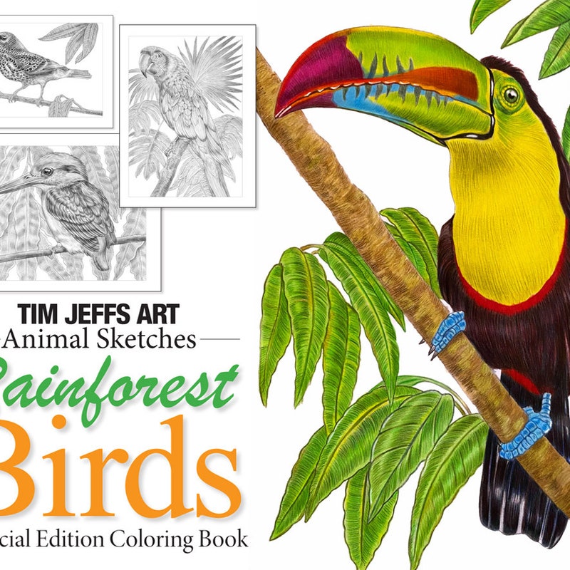 TimJeffsArt - Etsy