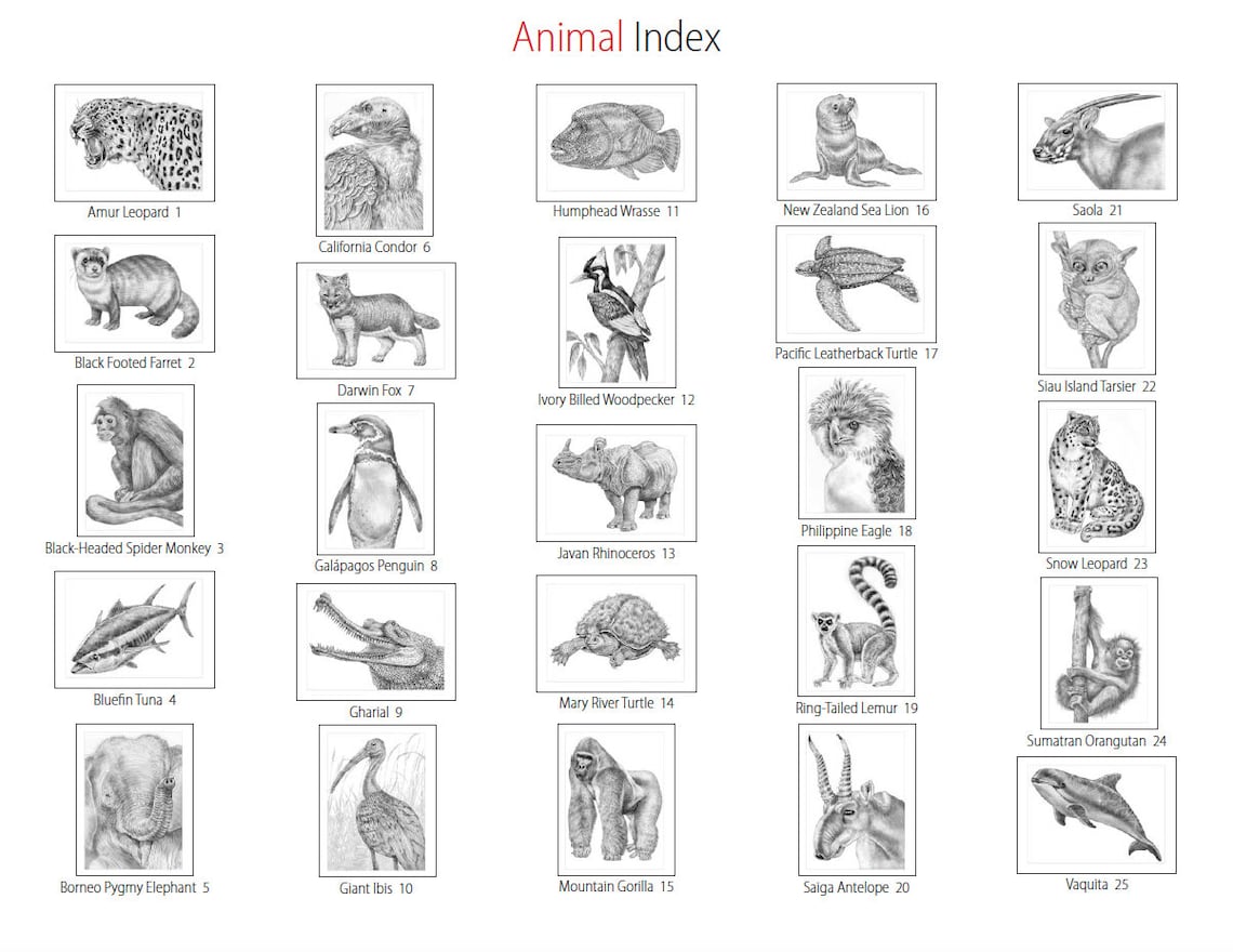 Detailed Animal Sketches Endangered Species. A Coloring Collection by ...