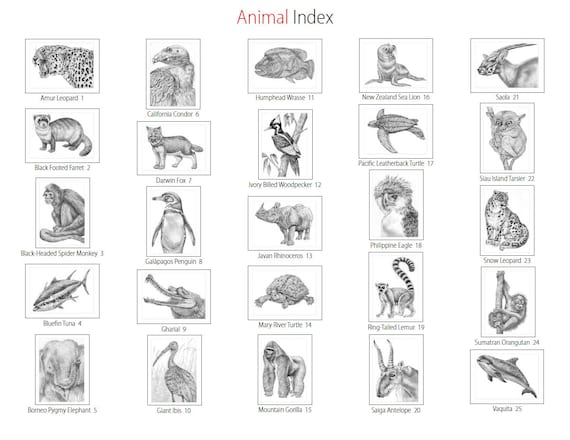Animales En Peligro De Extincion Dibujos