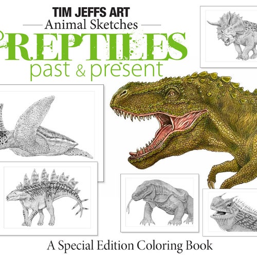 Detailed Animal Sketches 3. A Coloring Collection by Tim Jeffs - Etsy